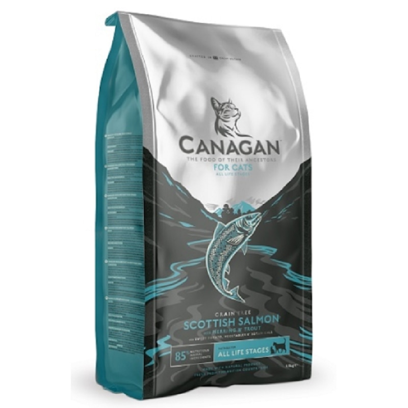 Canagan Canagan- Scottish Salmon Grain Free Dry Cat Food | Fortress